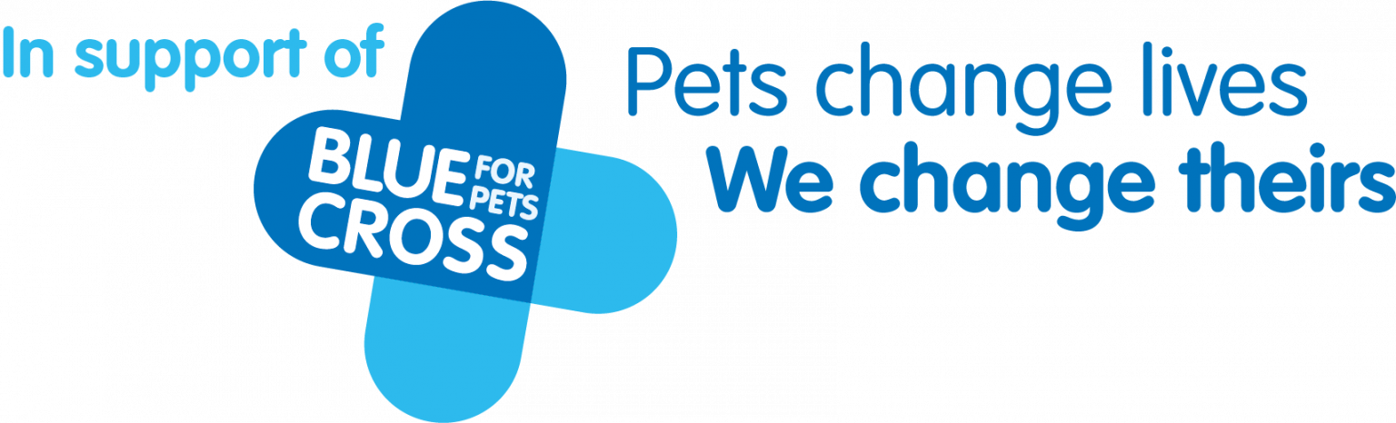 We’re supporting Blue Cross this April | Scrap Car Comparison